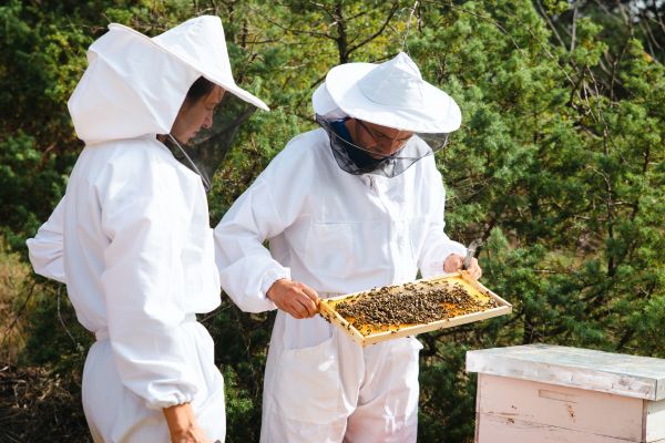 NC Appalachian Beekeepers Club – Promoting healthy bee populations in ...
